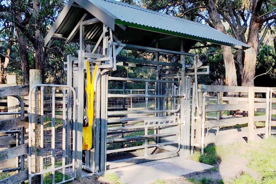 Keystone Innovations – The all new Calf Clamp, A bolt-on clamp that works